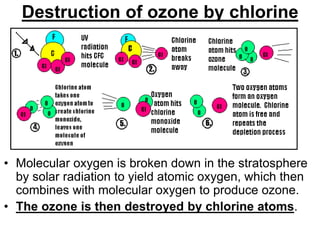 Ozone depletion lect-7.pptx