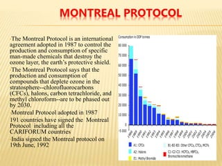 Ozone depletion | PPTX | Indoor Environmental Quality | Home & Garden