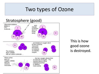 Human Impact on Ozone in the Environment | PPTX