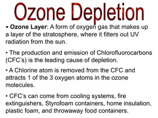 Human Impact on Ozone in the Environment | PPTX