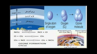 Ozone layer | PPT