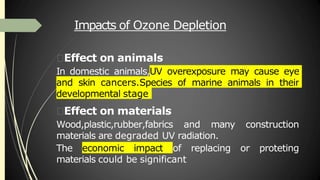 OZONE LAYER in the atmosphere and space.pptx