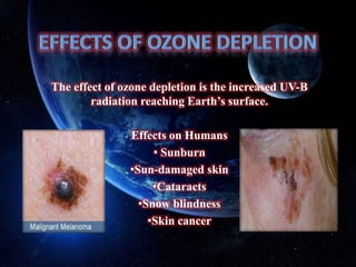 Ozone layer and depletion | PPTX