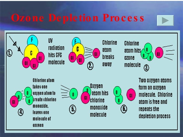 Ozone layer & carbon cycle | PPT