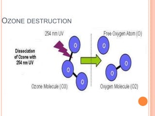 Ozone Layer Depletion | PPT