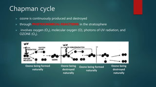 Ozone layer depletion | PPTX