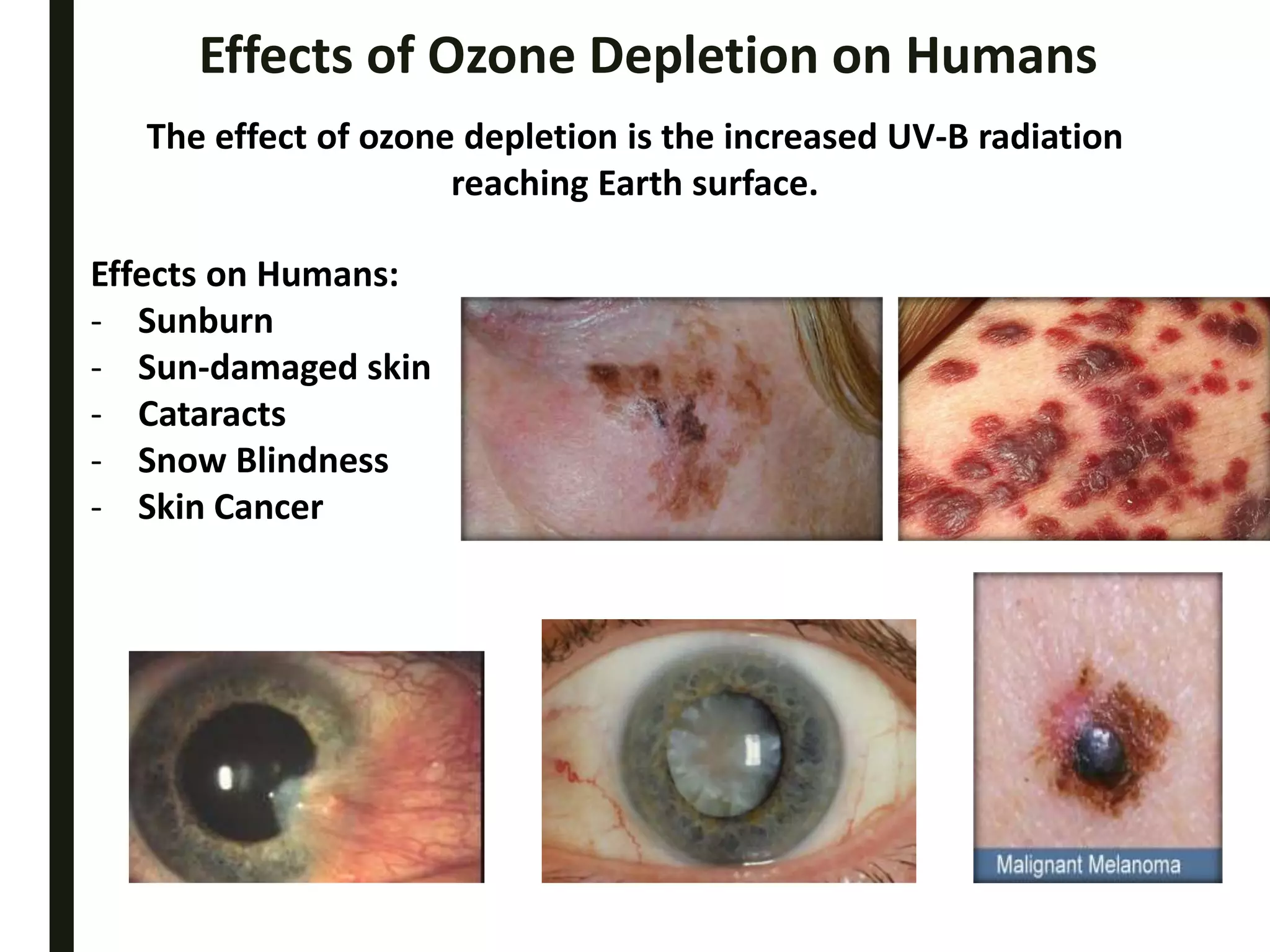Ozone Layer Depletion | PPTX