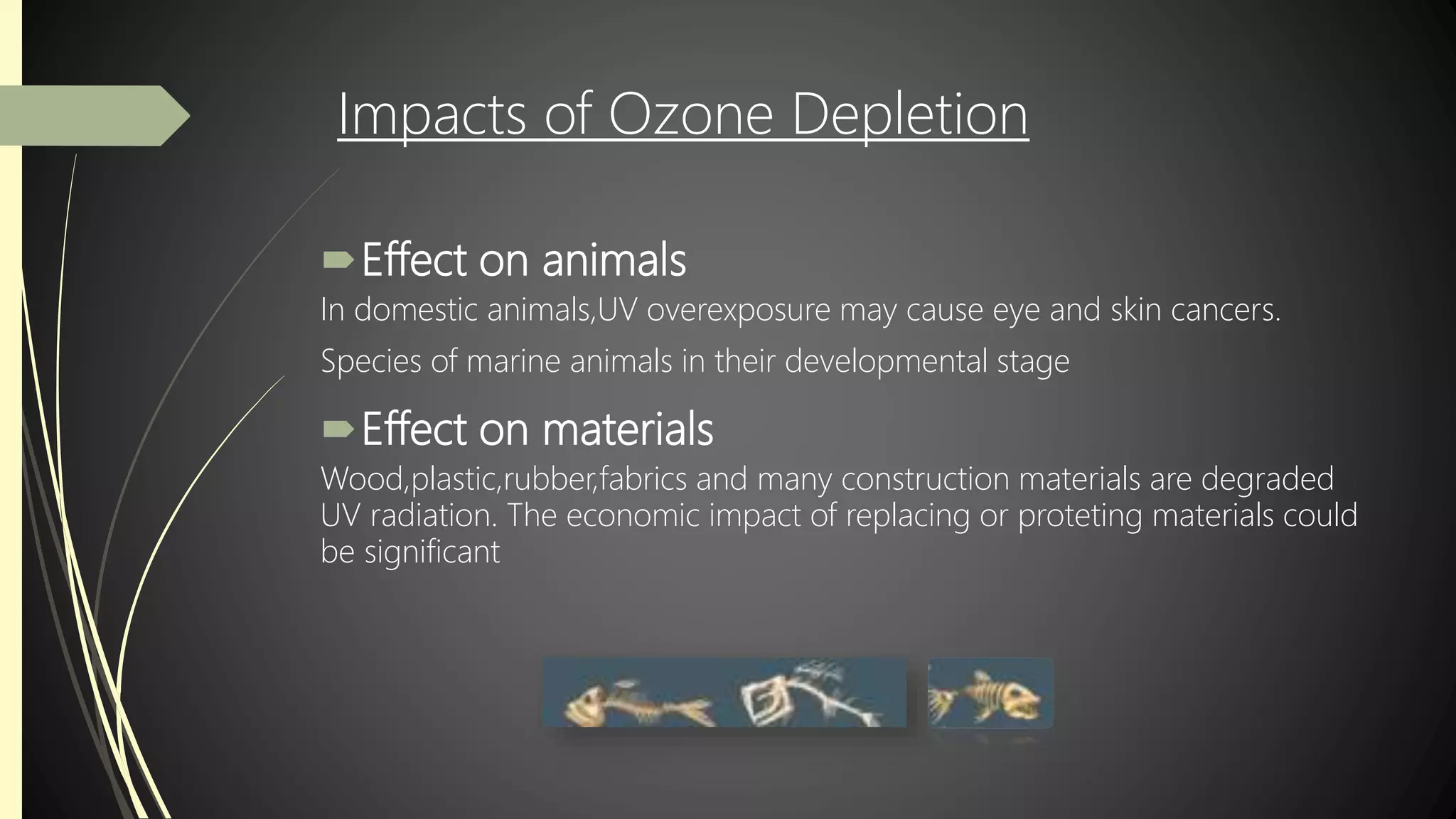 Ozone layer depletion | PPTX
