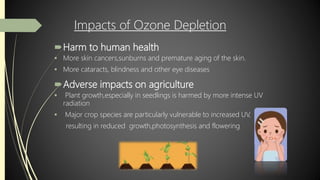 Ozone layer depletion | PPTX