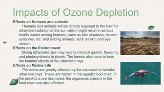 ozone layer depletion.pptx