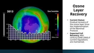 Ozone layer depletion causes and consequences | PPTX