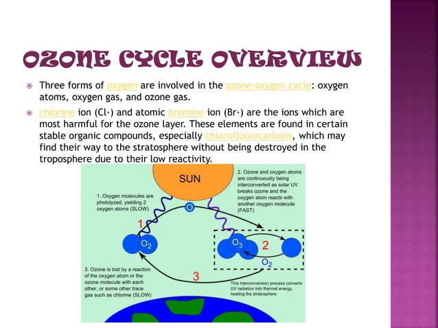 Ozone layer depletion ppt | PPTX | Chemistry | Science