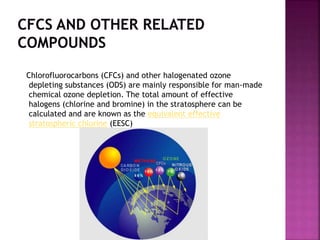 Ozone layer depletion ppt | PPTX