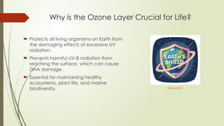 2.Ozone Layer Depletion Presentation.pptx