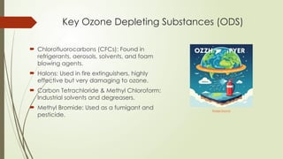 2.Ozone Layer Depletion Presentation.pptx