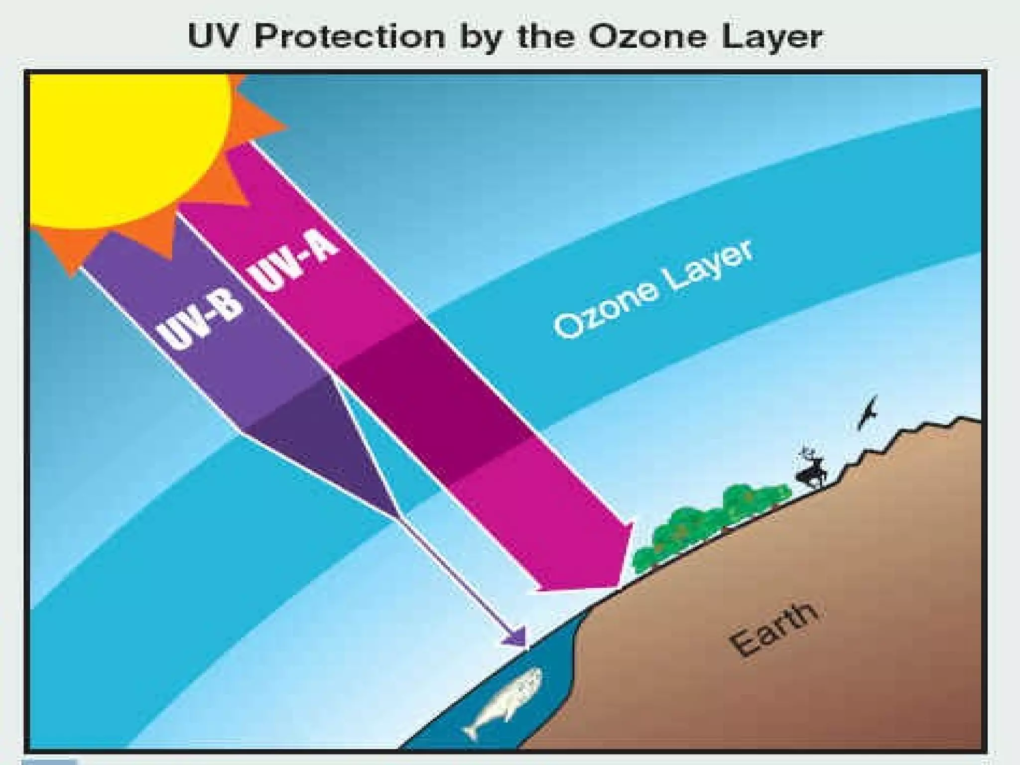 Ozone layer depletion xom | PPT