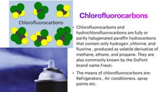 Ozone layer project .pdf