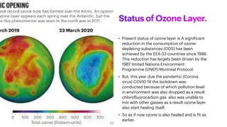 Ozone layer project .pdf