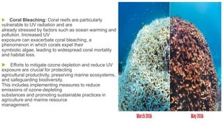 OZONE Presentation, depletion of ozone , gases etc.pptx