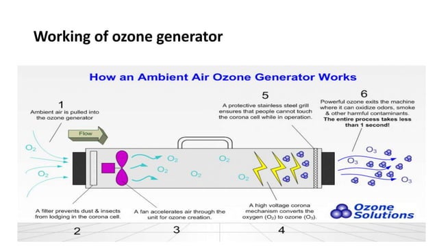 Ozone processing of food | PPT