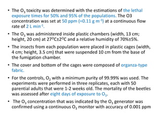 Ozone toxicity to sitophilus zeamais (coleoptera) | PPTX