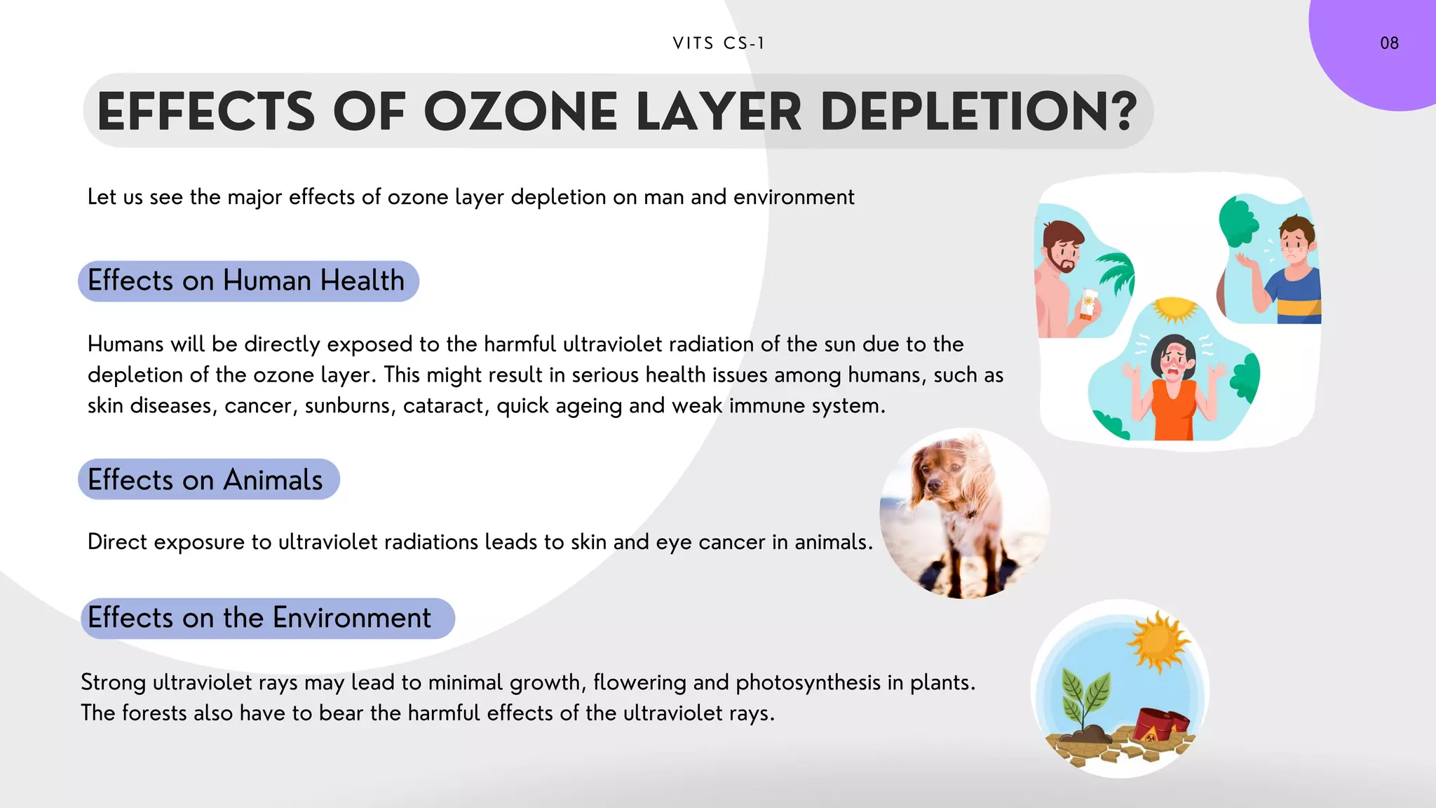 ozone layer depletion.pdf