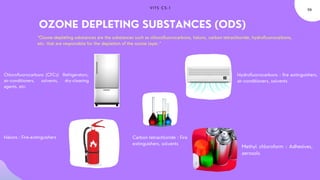 ozone layer depletion.pdf
