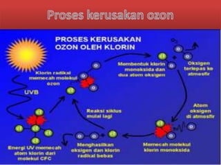 Ozon ppt | PPT