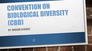 Convention on biological diversity CBD | PPTX