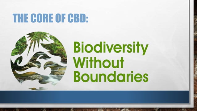 Convention on biological diversity CBD | PPTX