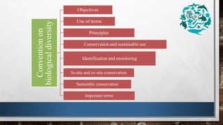 Convention on biological diversity CBD | PPTX