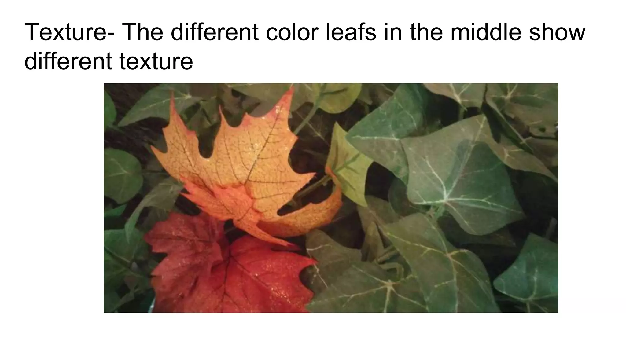 7 elements of art photography | PPTX | Arts and Crafts | Hobbies ...