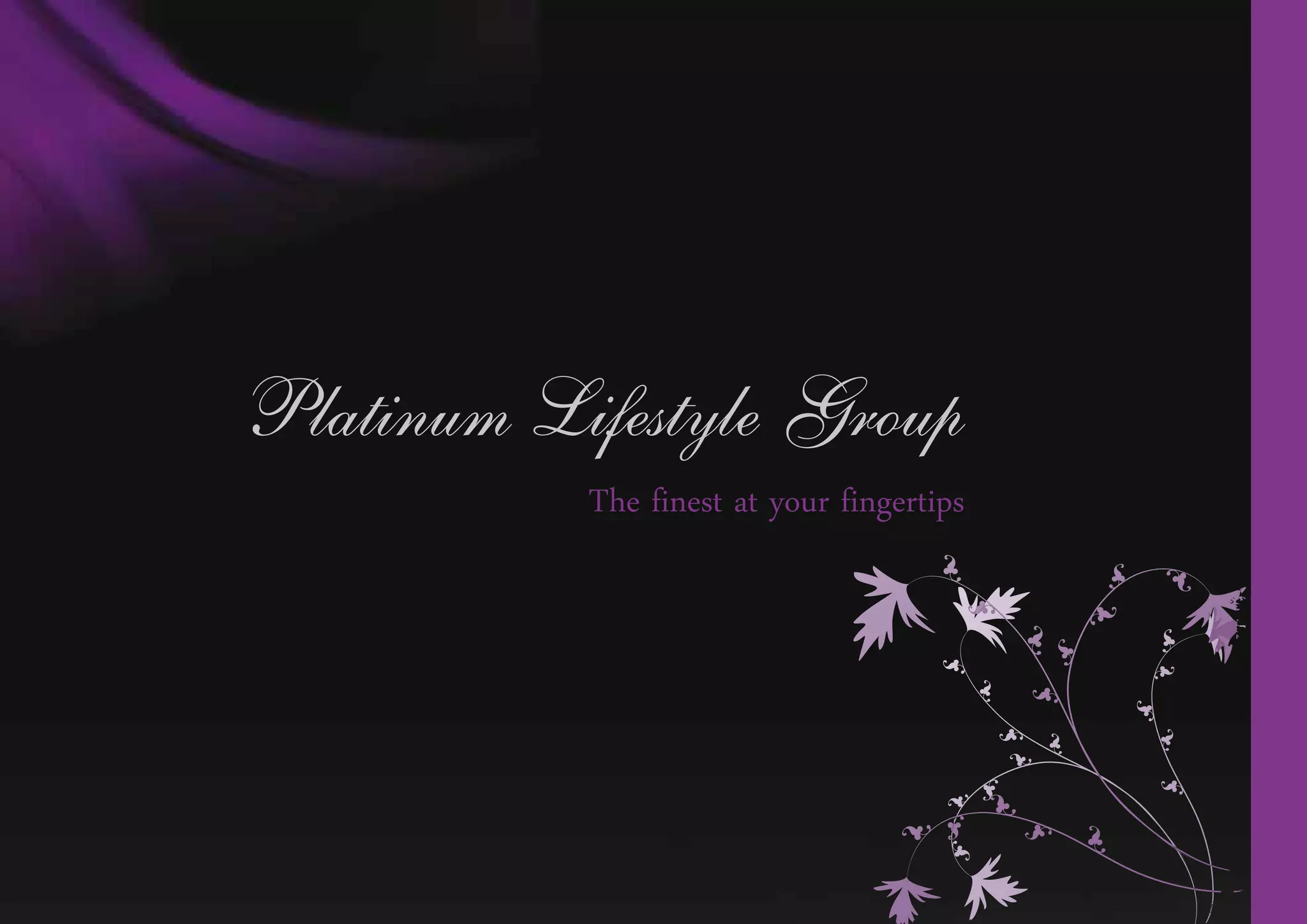 Platinum Lifestyle | PDF