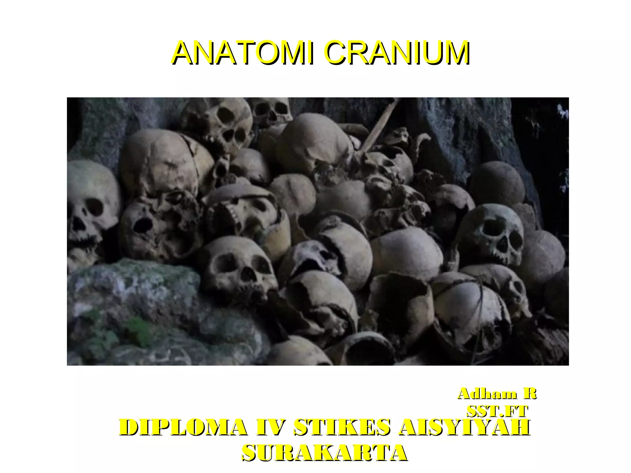 anatomi cranium | PPT