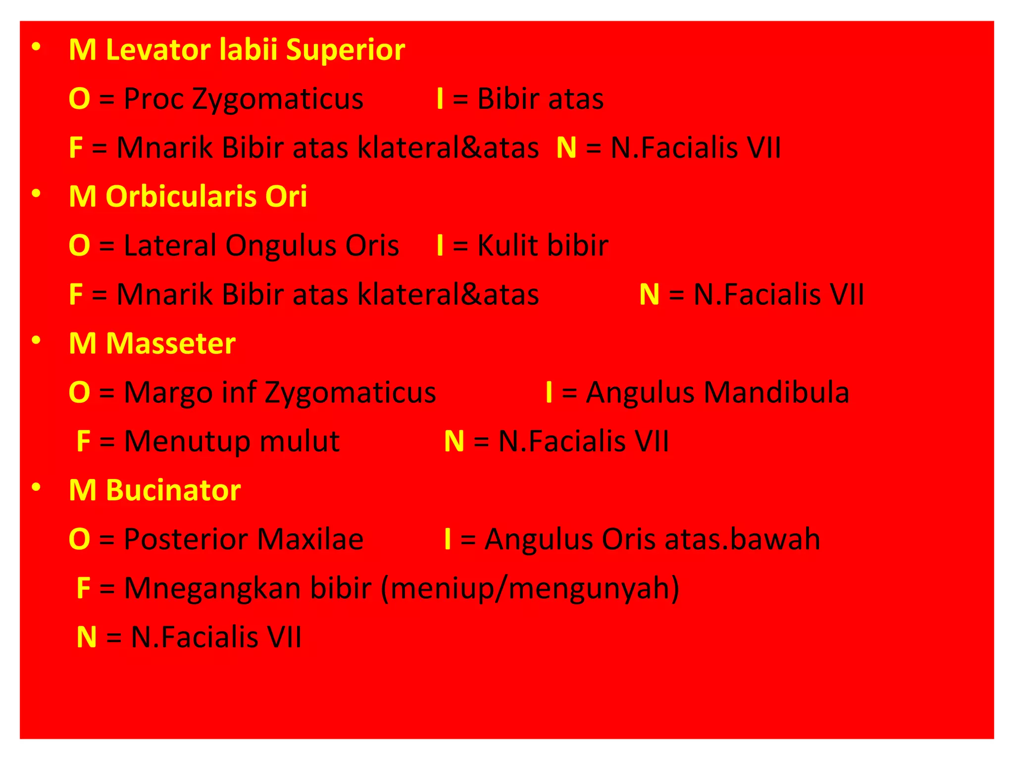 anatomi cranium | PPT
