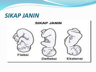 Presentasi muka | PPT