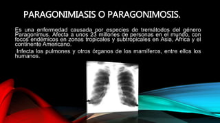 Paragonimus mexicanus | PPTX