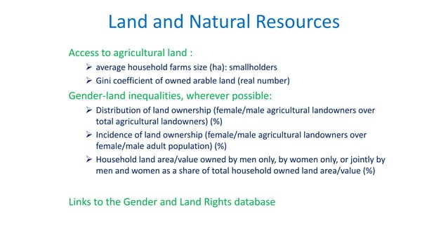 Overview of RuLIS (Piero Conforti, FAO) | PDF