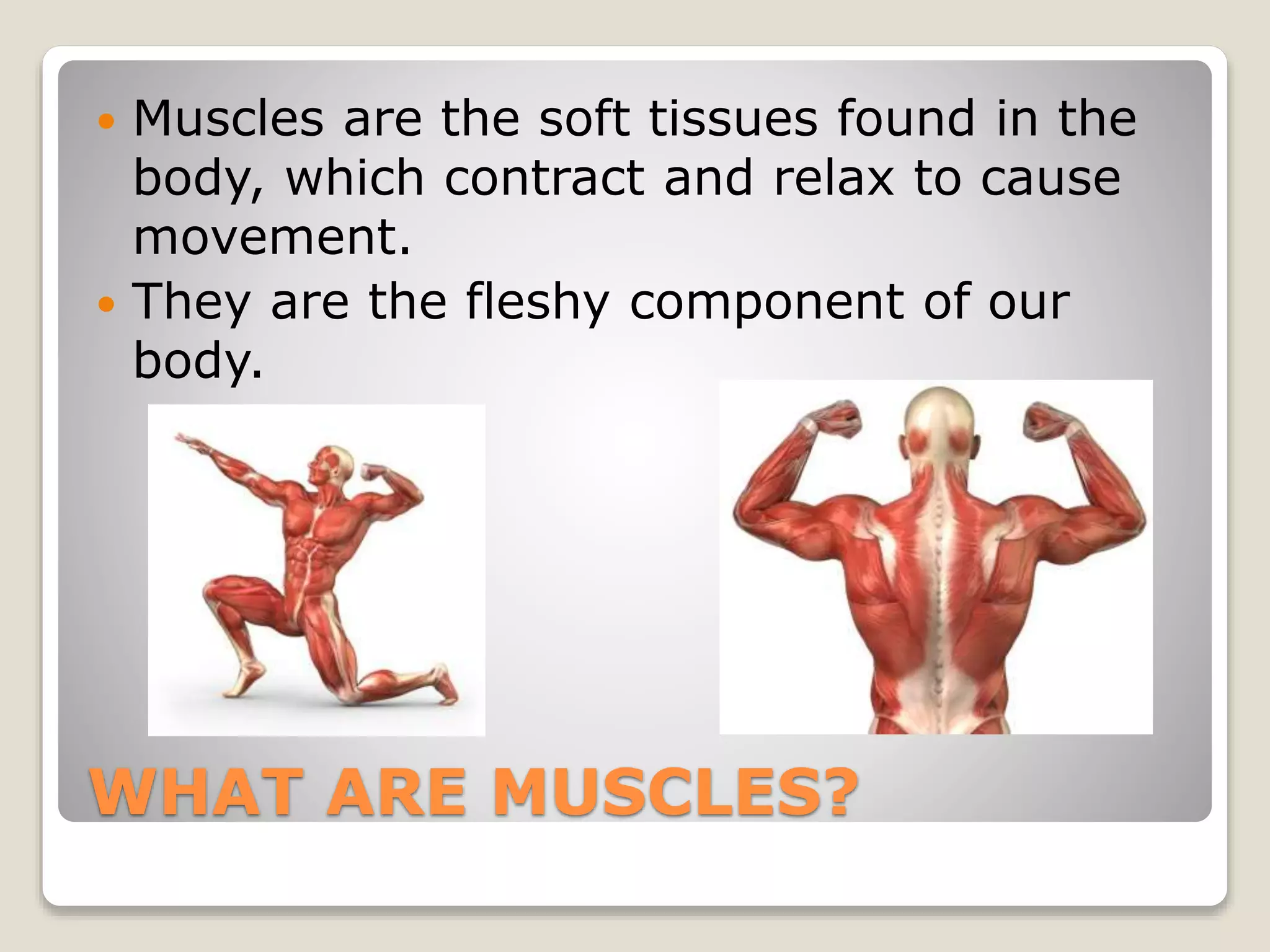 What are Muscles? | PPTX