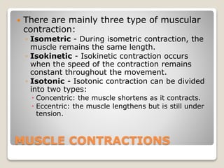 What are Muscles? | PPTX