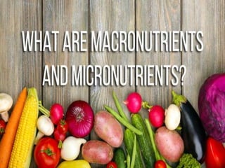 FUEL FOR PERFORMANCE | PPTX