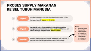 Nutrasetika Kebutuhan Nutrisi Manusia P1 | PDF