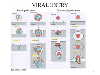 antiviral drugs medicinal chemistry by padala varaprasad | PPTX