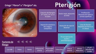 Técnicas Quirúrgicas del Pterigión | PDF