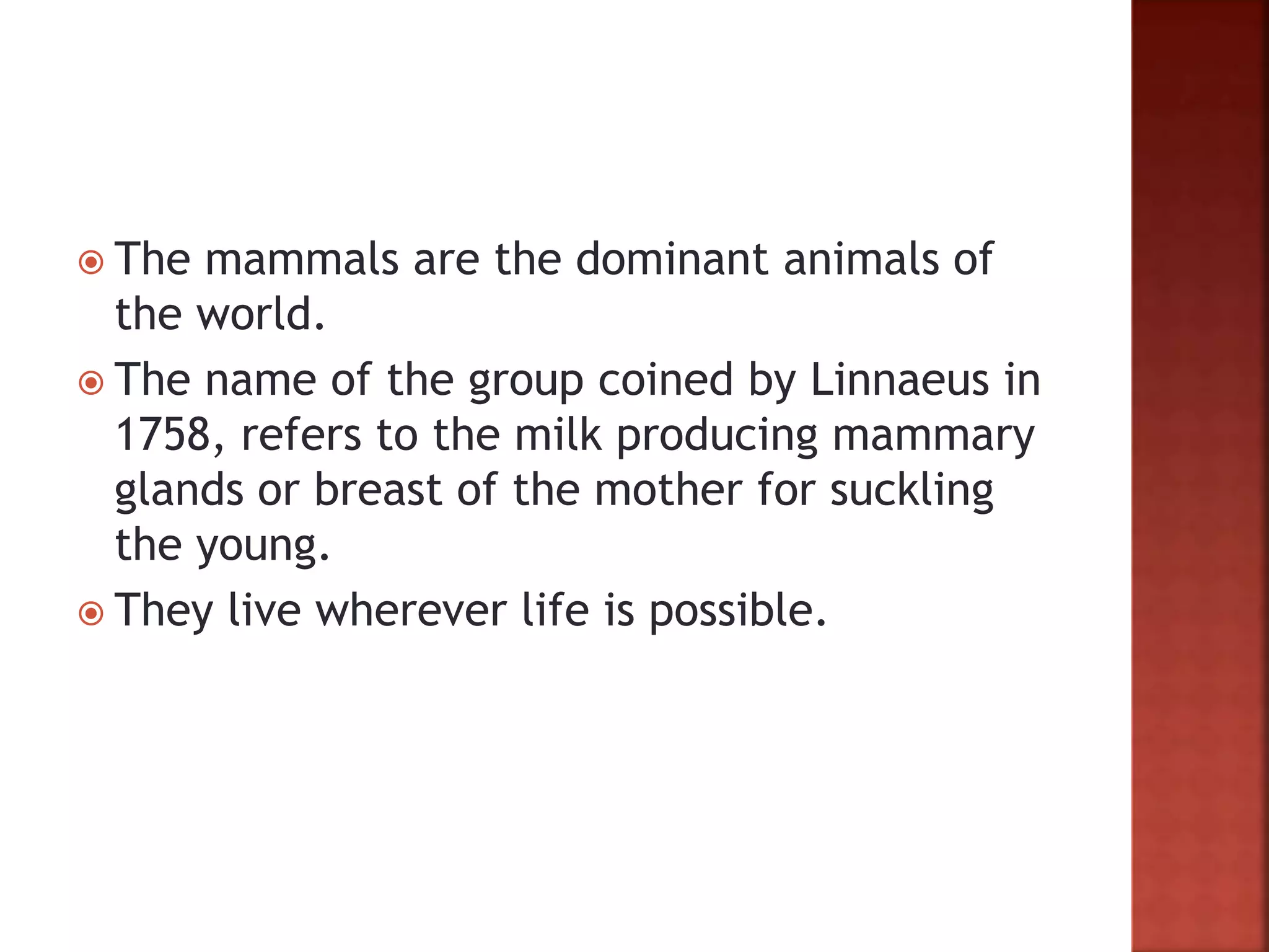CLASS MAMMALIA - Zoology | PPTX