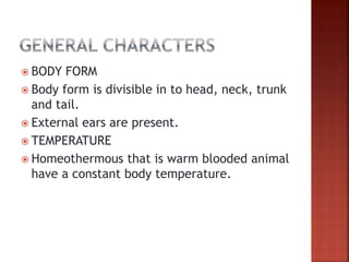 CLASS MAMMALIA - Zoology | PPTX