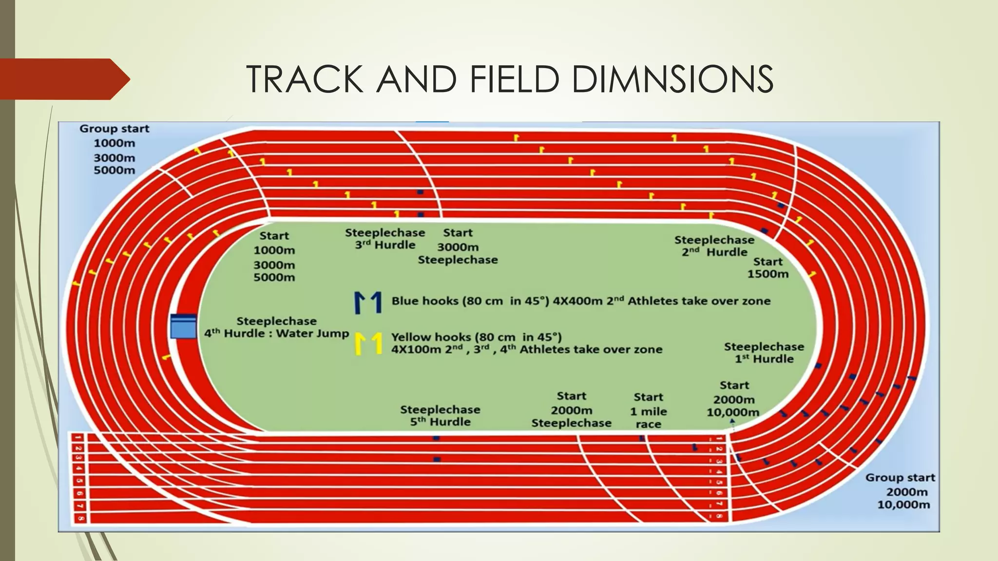PHYSICAL EDUCATION ATHLETICS | PDF