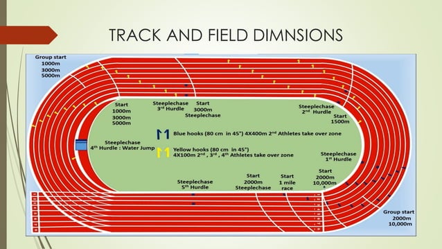 PHYSICAL EDUCATION ATHLETICS