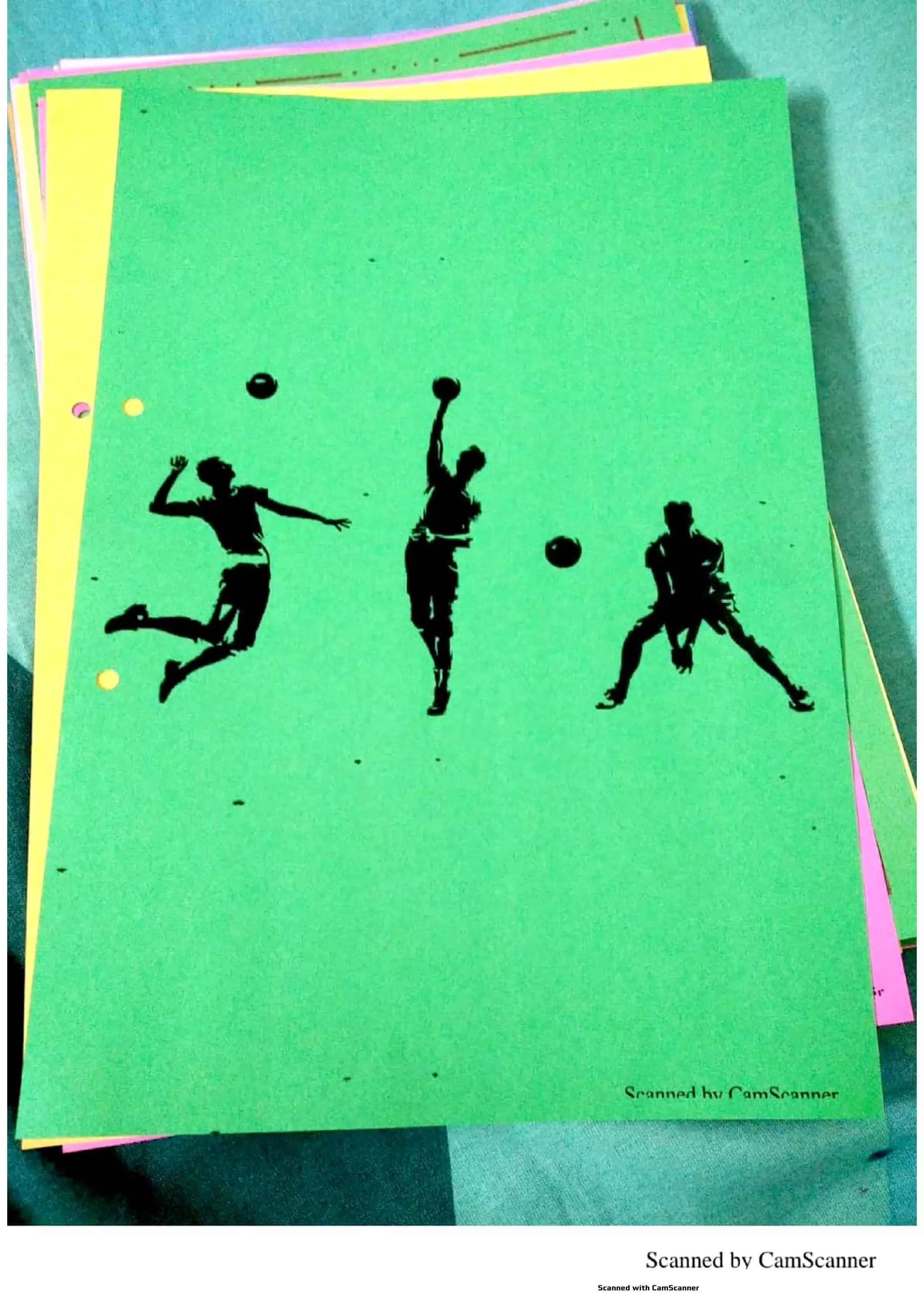 Physical Education project for class 12th students. | PDF