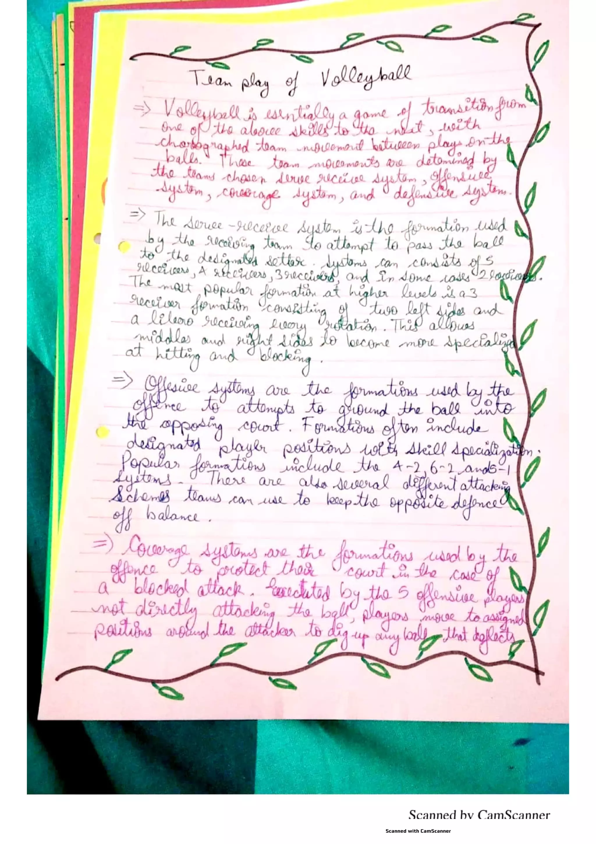 Physical Education project for class 12th students. | PDF